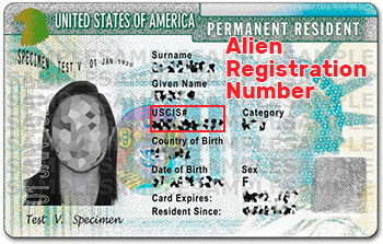 How to get the Alien Registration Number (A-Number)?